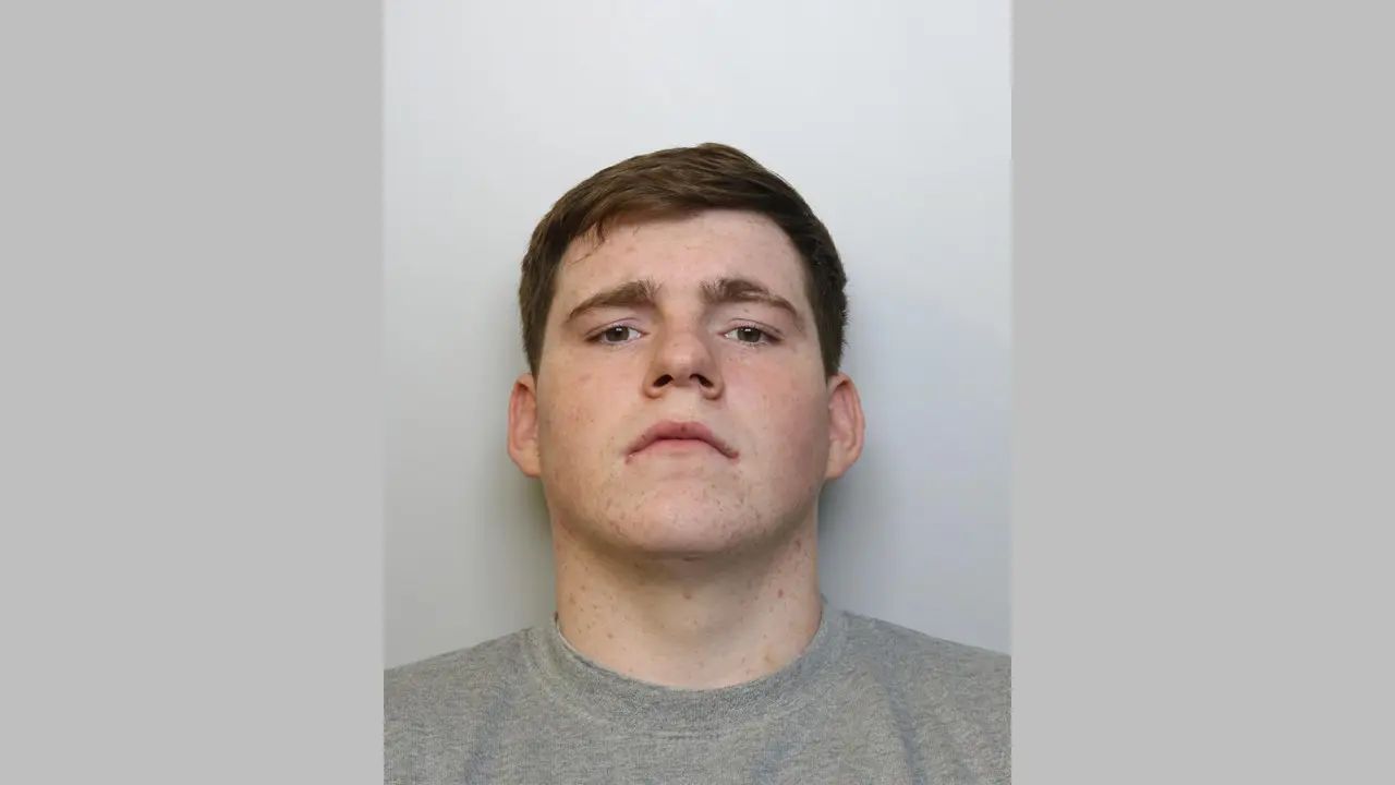 Driver In Hit & Run Of Boy 4 Pleads Guilty After Being Charged With ...